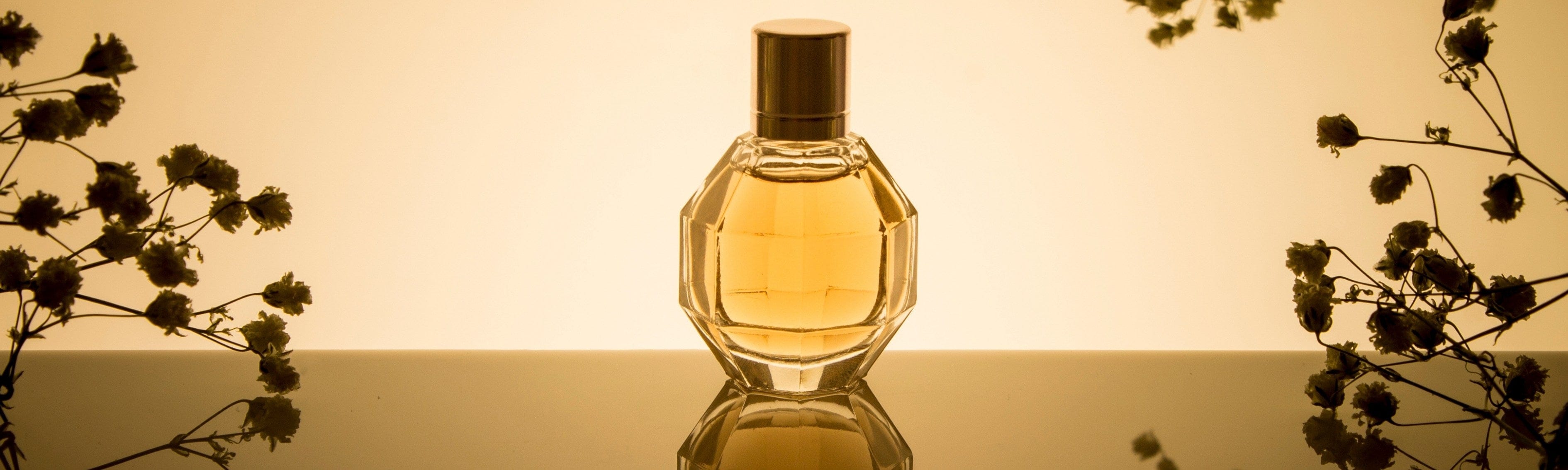 Oud: qué es, cómo huele y por qué es tan valioso en perfumería – Elixir ...